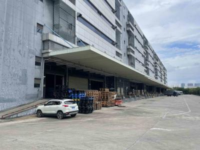 Cina Cargo Guangzhou Free Trade Zone Value-Added Services in vendita