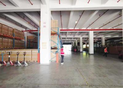 Cina FCL LCL Shenzhen Free Trade Zone Free Taxes Pallet Storage Solutions Service in vendita