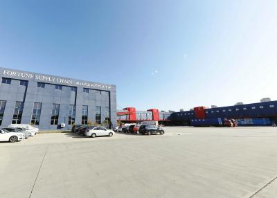 China International Shanghai Bonded Warehouse With Palletazition Inspection Delivery Services for sale