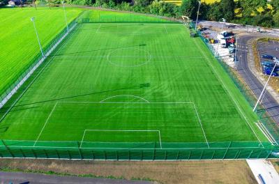 China Football Field Artificial Green Grass Carpet Roll SGS CCC ISO CE Certification for sale