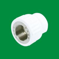 China Factory Customizable Designed PPR Outside Wire Coupling Fittings Support Customized for sale
