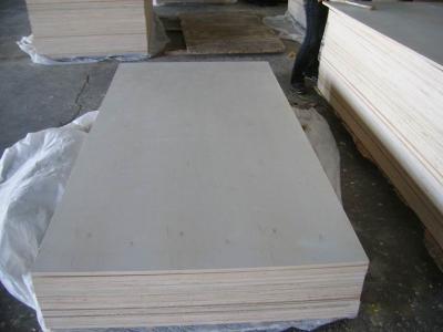 China Birch F/B Poplar Plywood for sale