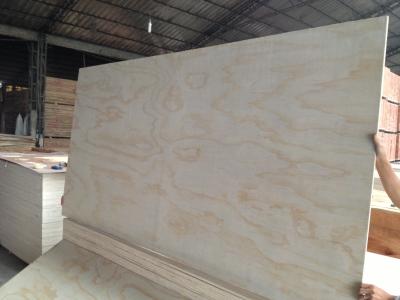China Full Pine Plywood for sale