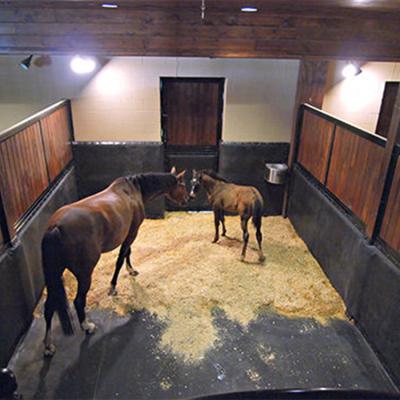 China Horse Stable Wall Mats Heat Preservation Nursery Maternity Bed Clip Cloth Rubber Version Wear Resistant Tear Resistant for sale