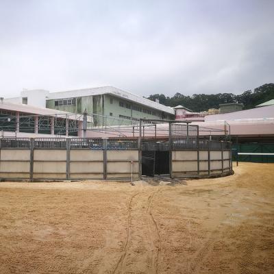 China Anti-cansaço Interlocking de borracha de cavalo Walker Matting à venda