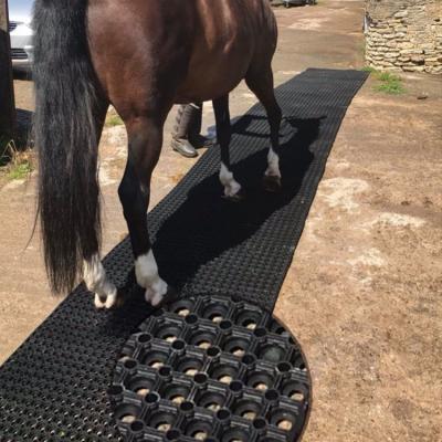 China Anti Fatigue Drainage Mat Anti Slip Rubber Mats Rubber Hollow Mats 3' X 3' Inch Black Color For Horse Grooming Area for sale