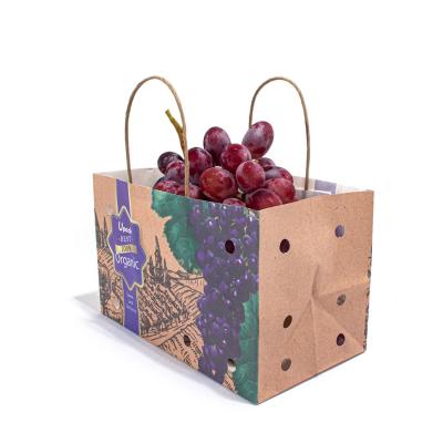 Cina Sostenibile riciclabile dei sacchi di carta impermeabili biodegradabili della frutta in vendita