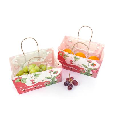 Cina Sacchi di carta della frutta di Kraft della maniglia concimabili per l'imballaggio della frutta asportabile in vendita