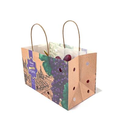 Cina Stampa dell'inchiostro a base d'acqua amichevole della soia di LOGO Fruit Paper Bags With Eco in vendita