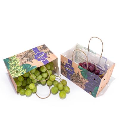 Cina OEM/ODM non patinato di stampa di Flexo di colore dei sacchi di carta della frutta 10Kg disponibili in vendita