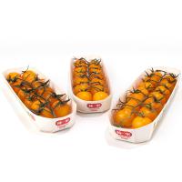 China Biodegradable Takeaway Cardboard Fruit and Vegetable Packaging Boxes 500ml Food Grade for sale