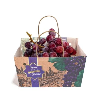 Cina Borse su misura della frutta della carta del peso nella stampa a colori di Pantone o di CMYK in vendita