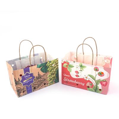 Cina I sacchi di carta sostenibili della frutta della carta kraft di resistenza all'acqua hanno personalizzato Carry Weight in vendita