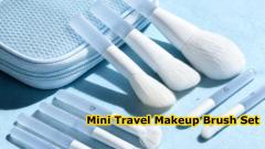 9-Piece Mini Travel Makeup Brush Set