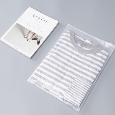 China Slide Frosted Peva Zipper Plastic Bag Clear Biodegradable Custom Printing for Tshirt for sale