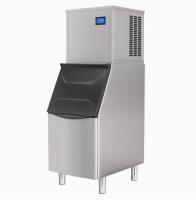 Quality BLG Granular Chewable 300kg/24H Ice Maker Making Fish Nugget Machine Commercial for sale