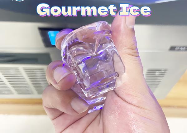 Quality Gourmet Ice Maker 36kg/24hours Automatic Ice Maker Machine Commercial for sale