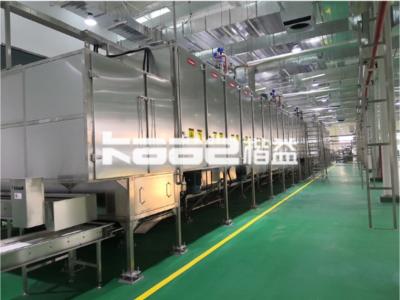 Cina Asciugatrici e torrefazioni e raffreddatrici a trasportatore per la lavorazione e l'essiccazione degli alimenti con materiali di qualità alimentare in vendita