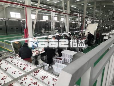Cina Intelligente trasportatore asciugatrice macchina di lavorazione e asciugatura dei prodotti alimentari materiale di qualità alimentare in vendita