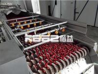 China Industrial Dates Processing Machinery Dates Drying Machine 20t/Hr for sale