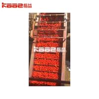 China Turnkey Canned food processing line canned tomato paste processing line for sale