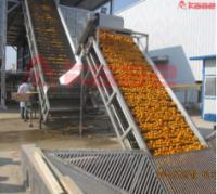 China Automatic Orange Cell Making Machinery Automatic Juicer Machine for sale