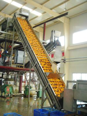 China 1 - 120 ton/u Turnkey project Automatische sinaasappelsapmachine Industriële sinaasappelsaplijn Te koop
