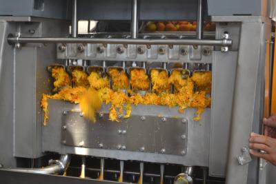 China 1 - 120 ton/u Turnkey project Automatische sinaasappelsapmachine Industriële sinaasappelsaplijn Te koop