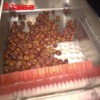 China Deep Dates Processing Machine 1500KG Vacuum Concentrate Jujube Processing Machine for sale