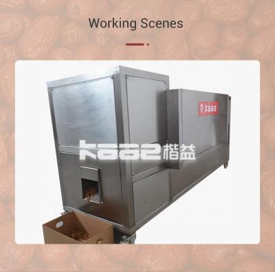 China 1500 KG Dattel- und Dämmmaschine Tunrkey Projektdattel- und Dämmmaschinen zu verkaufen