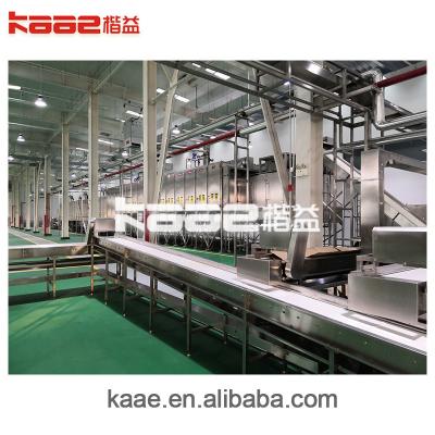 Cina Proietti chiavi in mano macchina per l'essiccazione a trasportatore di frutta e verdura/alimenti/sementi in vendita
