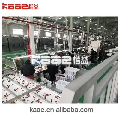 Cina Proietti chiavi in mano macchina per l'essiccazione a trasportatore di frutta e verdura/alimenti/sementi in vendita