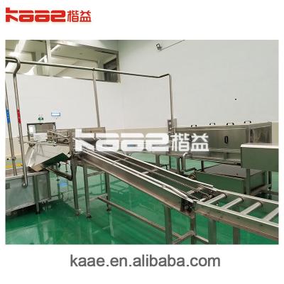 China Turnkey Automation Belt Press Blueberry Fruits Juice Processing Line for sale