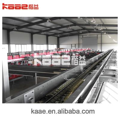China SS304 Automatic Fruit Sorting Machine Photoelectrical Fruit Grader Machine for sale