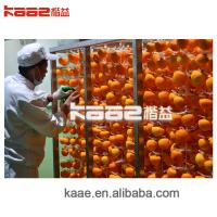 China SS304 Dried Persimmon Processing Line Persimmon Peeling Machine For Persimmon for sale