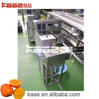 China SS304 Dried Persimmon Processing Line Persimmon Peeling Machine For Persimmon for sale
