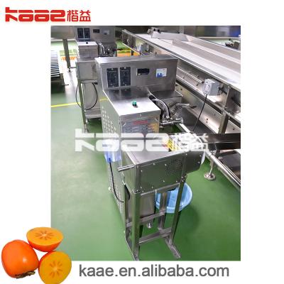 中国 SS304 乾燥したペルシモンの加工ライン ペルシモンの剥離機 ペルシモンのために 販売のため