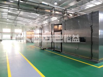 Cina Forno per asciugatura alimentare a gas automatico a più strati convogliatore a maglia cintura asciugatrice tunnel macchina per frutta e verdura in vendita