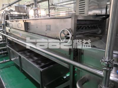 Cina Forno per asciugatura alimentare a gas automatico a più strati convogliatore a maglia cintura asciugatrice tunnel macchina per frutta e verdura in vendita