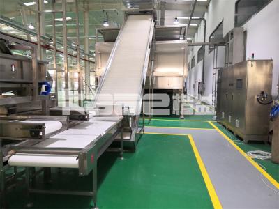 Cina Forno per asciugatura alimentare a gas automatico a più strati convogliatore a maglia cintura asciugatrice tunnel macchina per frutta e verdura in vendita