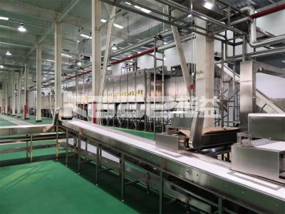 Cina Asciugatrice a nastro trasportatore a rete continua di alghe, cipolla, foglia di moringa e peperoncino rosso in vendita