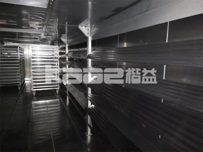 Cina Alti standard di raffreddamento dell'aria con asciugatrice a fascia continua in vendita