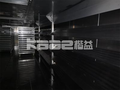 Cina Conveyor a aria calda vassoio a maglia continua cintura asciugatrice asciugatrice per frutta e verdura in vendita