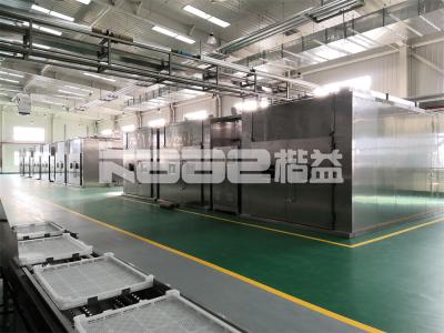 Cina Convogliatore d'aria forzato in acciaio inossidabile industriale asciugatrice asciugatrice a microonde per erbe foglie di tè in vendita