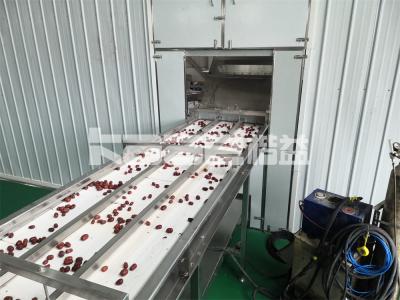 中国 メッシュベルトコンベヤードライヤー マシン 連続トンネル 連続マイクロ波真空ドライヤー 販売のため