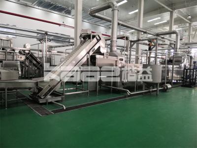 中国 メッシュベルトコンベヤードライヤー マシン 連続トンネル 連続マイクロ波真空ドライヤー 販売のため