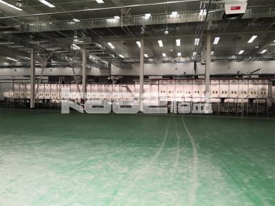 Cina Asciugatrice per ortaggi di grande capacità con trasportatore continuo Asciugatrice per ortaggi per asparagi in vendita