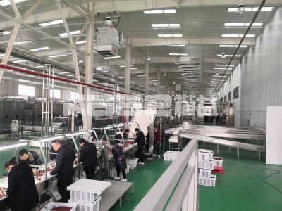 Cina Scatto di ortaggi asciugatrice trasportatore tunnel asciugatrice macchina cintura trasportatrice sistema di asciugatura in vendita