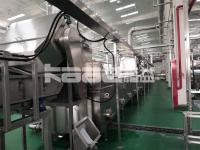 China Nuts Ginger Conveyor Dryer Machine Fish Chilli Dryer Machine for sale