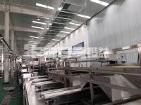 China Nuts Ginger Conveyor Dryer Machine Fish Chilli Dryer Machine for sale